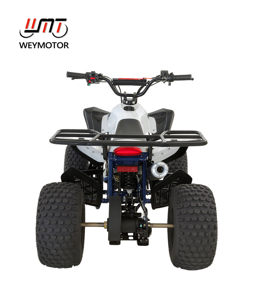 125cc Youth ATV | Weymotor Off-Road Quad for Kids